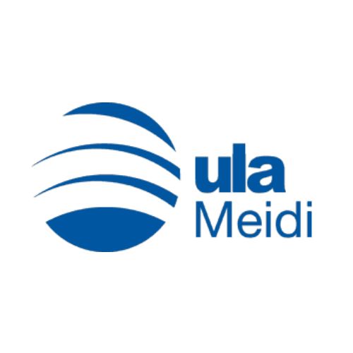 Sistema de Gestión de Aprendizaje | MEIDI